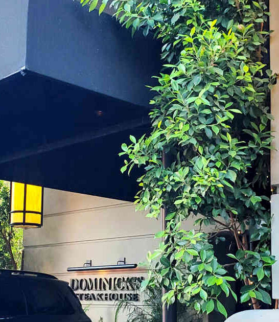 giant story eatery arizona ftr