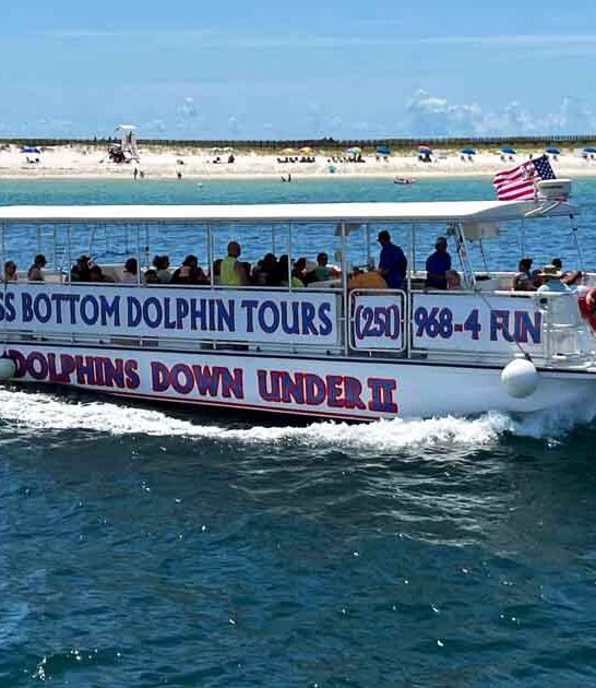 glass bottomed boat alabama ftr