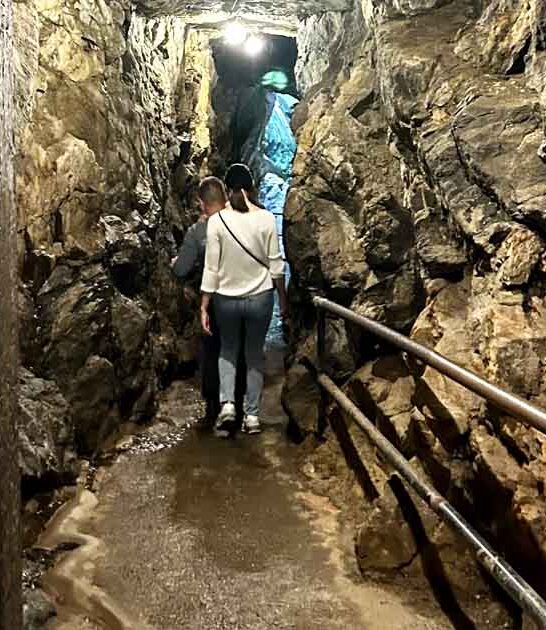 gold mine georgia bucket ftr
