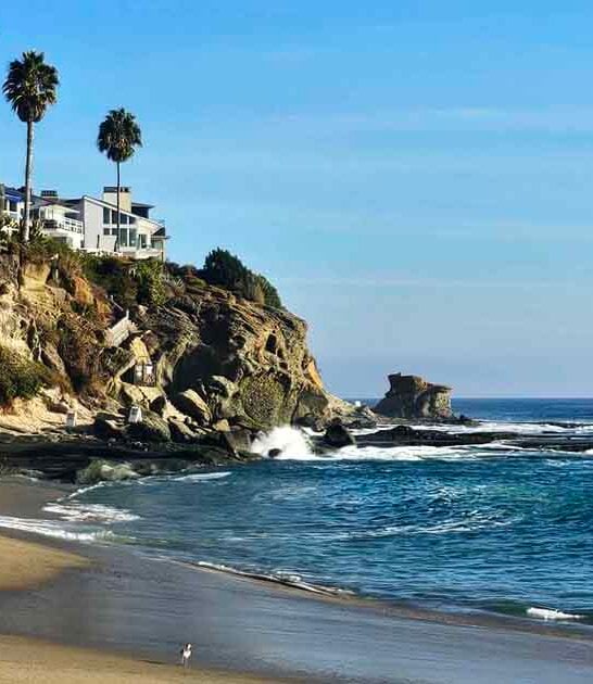 gorgeous california park beach ftr