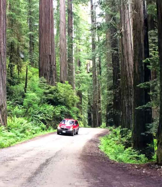 gorgeous drive california trip ftr
