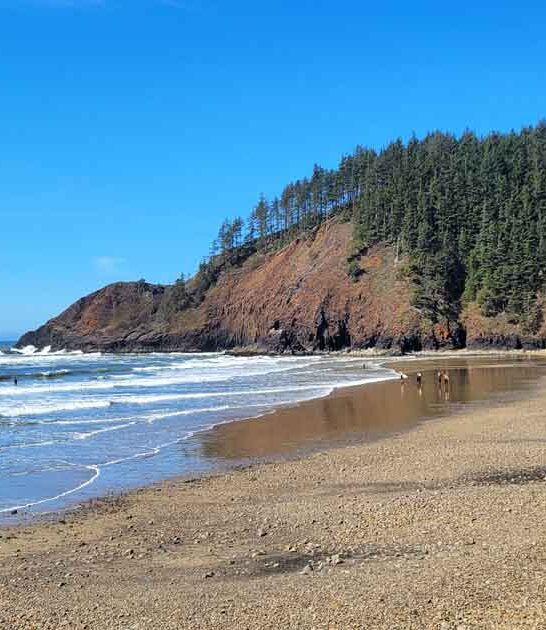 gorgeous oregon beach escape ftr