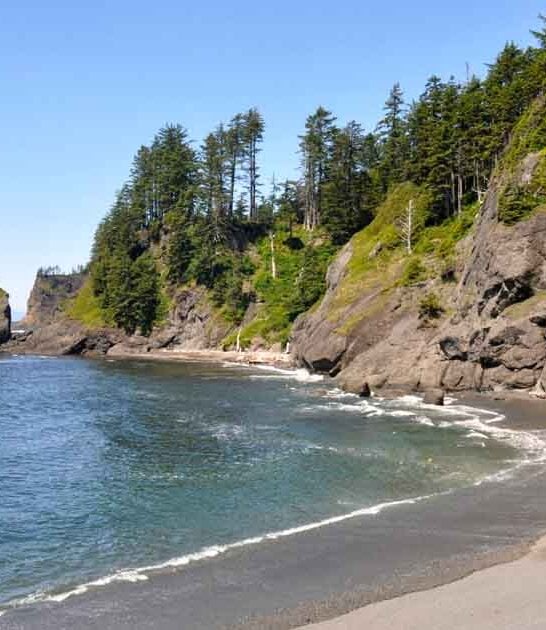 gorgeous washington beach ftr