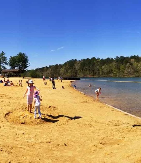 hidden alabama lake beach ftr