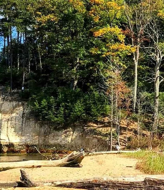 hidden beach virginia fossils ftr