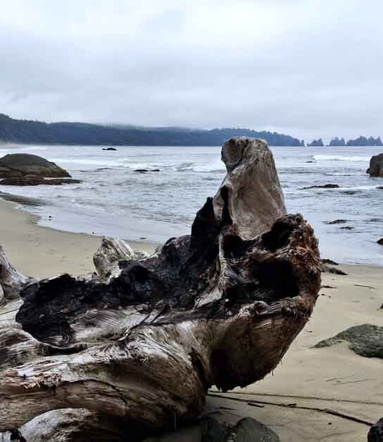 hidden beach washington ftr