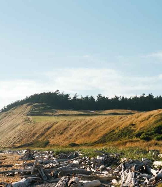 hidden dreamy washington beaches ftr