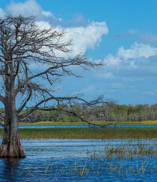 hidden florida lake ftr