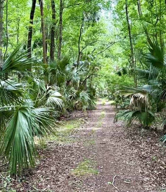 hidden florida river trail ftr