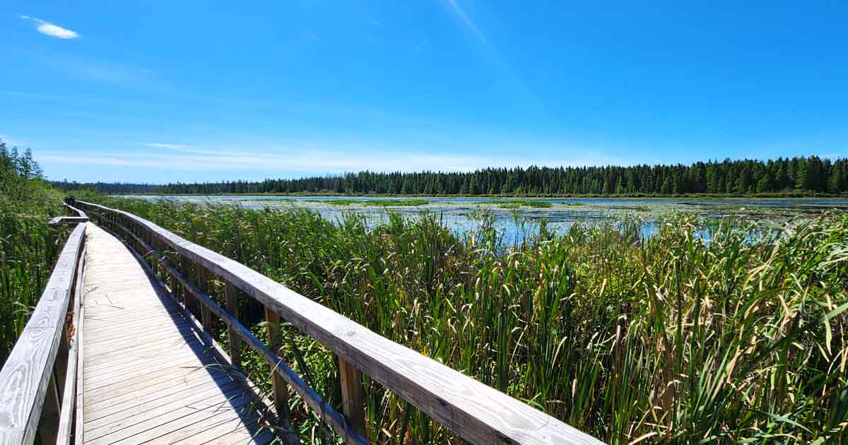 This Hidden Gem in Minnesota Is a Secret Worth Discovering