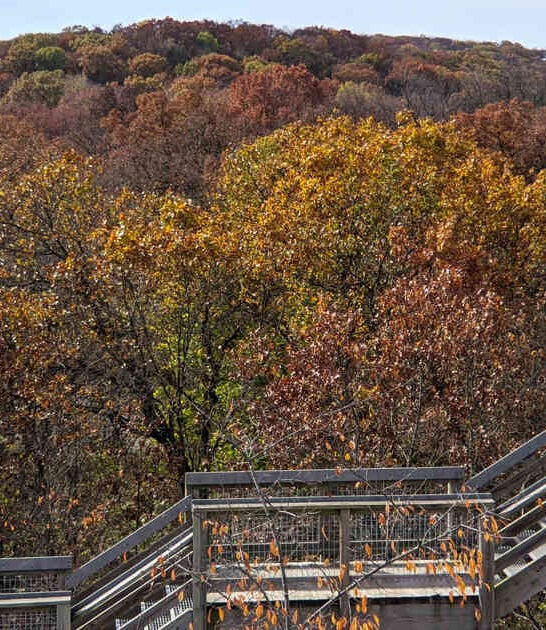 hidden illinois park wilderness ftr