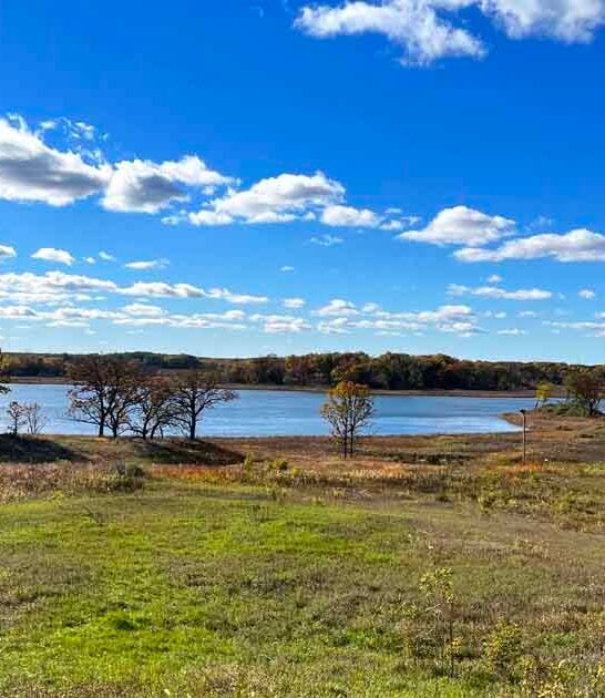 hidden illinois park wildlife ftr
