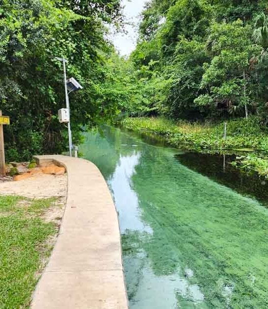 hidden lazy river florida ftr