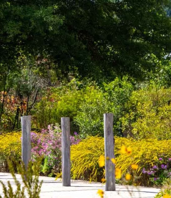 hidden maryland arboretum secret ftr