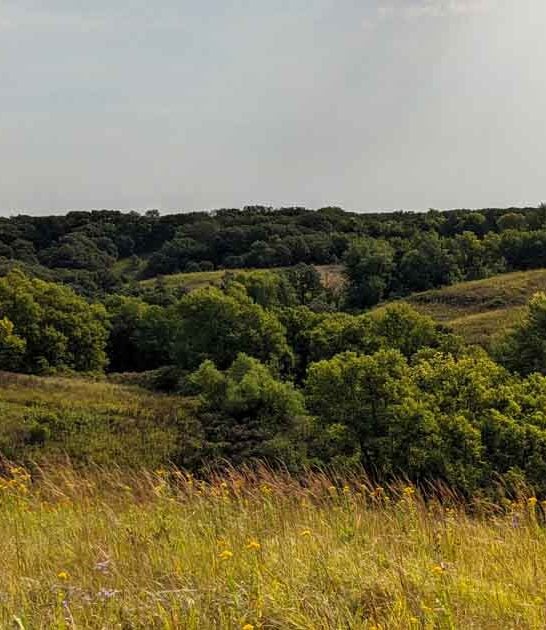 hidden minnesota park state ftr