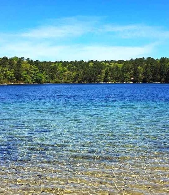 The Hidden Pond In Massachusetts With Water So Clear, You Won&rsquo;t Believe Your Eyes