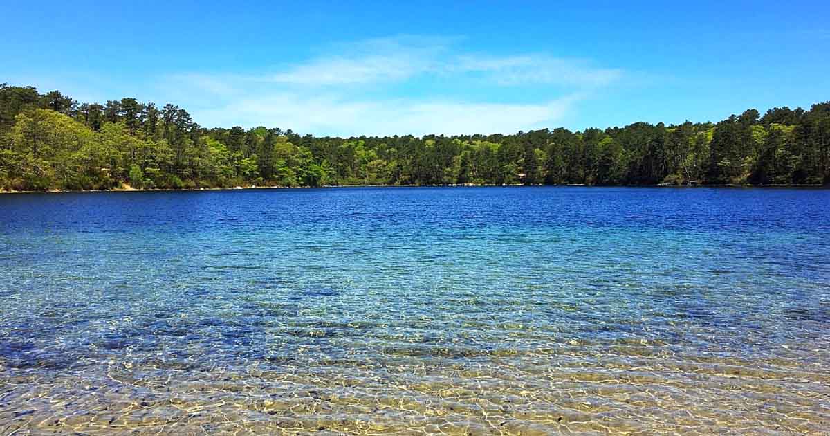The Hidden Pond In Massachusetts With Water So Clear, You Won't Believe ...