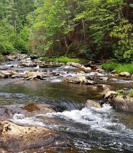 hidden waterfall trail georgia ftr