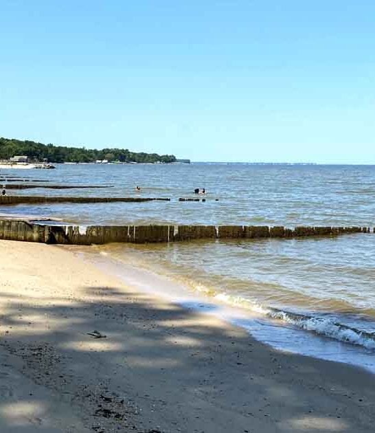 hiding fossil beach virginia ftr
