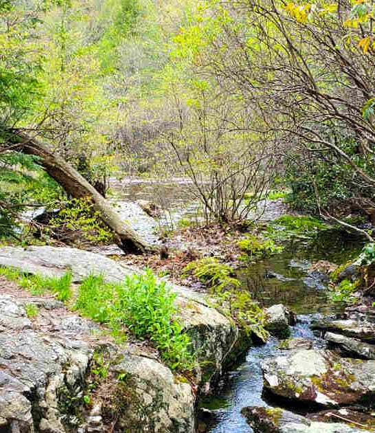 hike connecticut ultimate test ftr