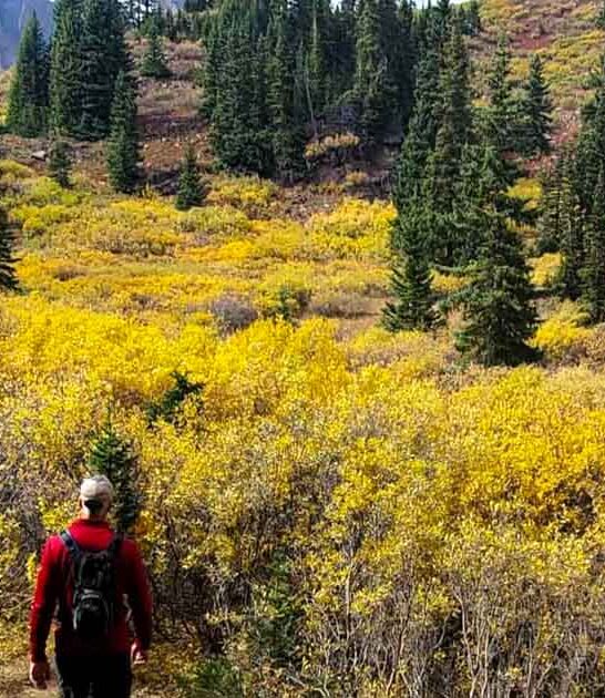 hike legendary colorado trail ftr