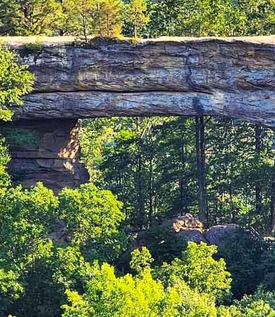 hike rock arch kentucky ftr