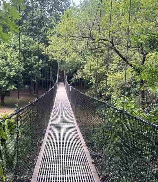 hiking bridge south carolina ftr