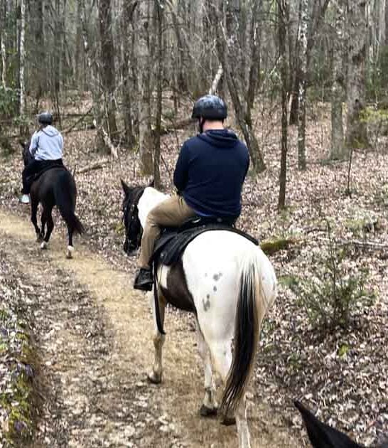 horseback tour north carolina ftr