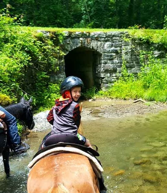 horseback waterfall north carolina ftr