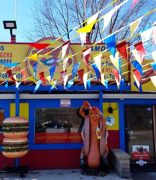iconic illinois chicago dogs ftr