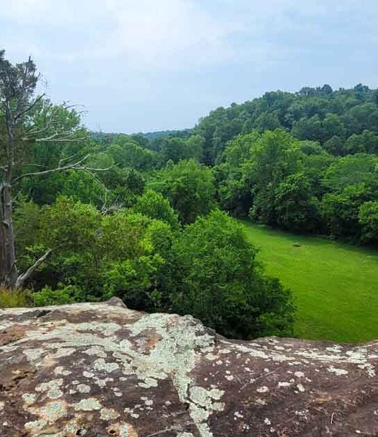 illinois adventurous state park ftr