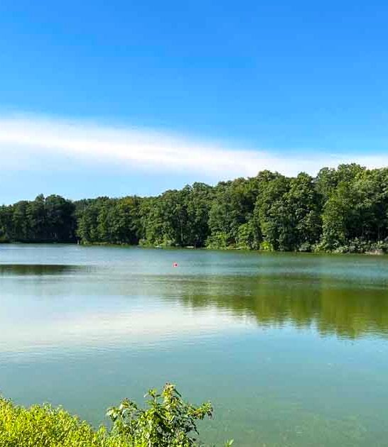 illinois discover gorgeous park ftr