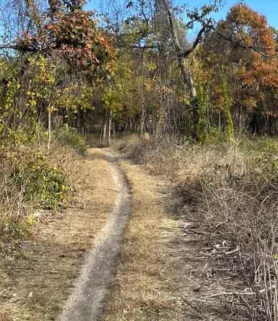illinois hidden horseback trail ftr