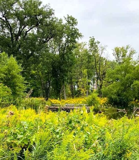 illinois hidden nature preserve ftr