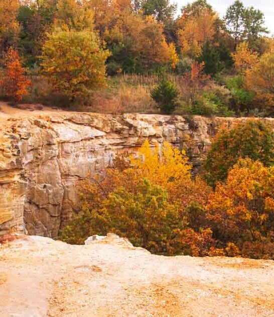 illinois hidden park wonder ftr
