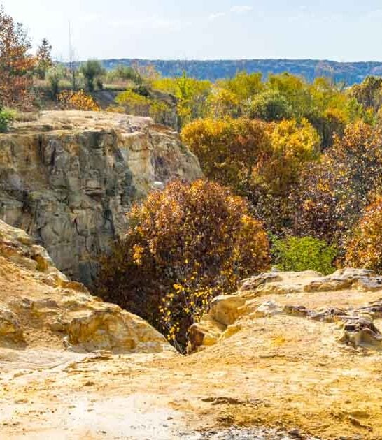 illinois natural wonder park ftr