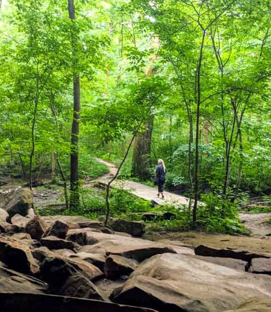 illinois scenic park wonders ftr