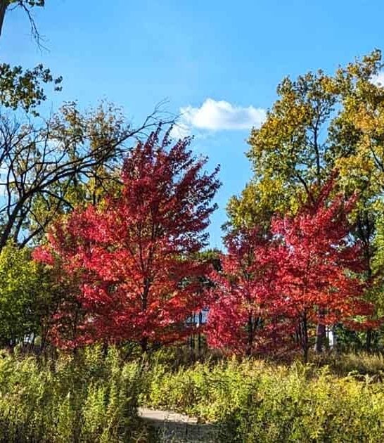 illinois secluded nature preserve ftr