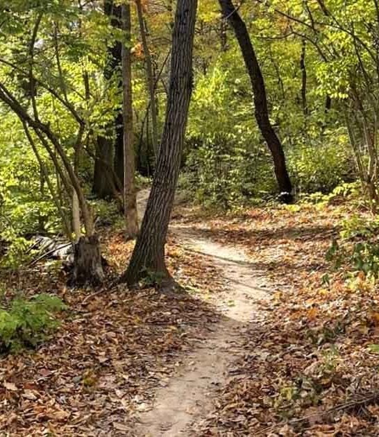 illinois secret horseback trail ftr