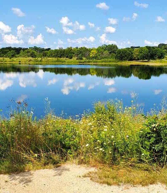 illinois underrated park town ftr