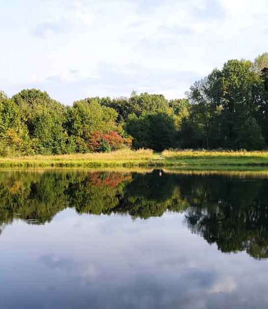 illinois wild park escape ftr