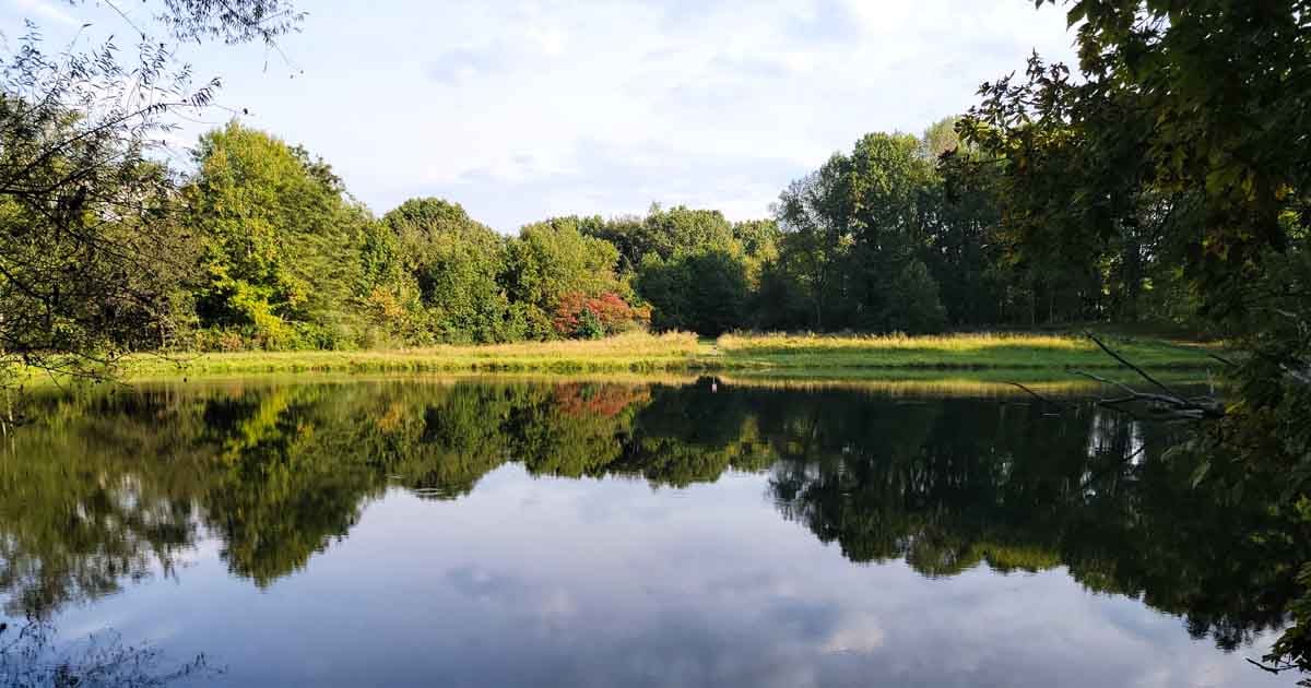 This Hidden Illinois State Park Feels Like A National Park