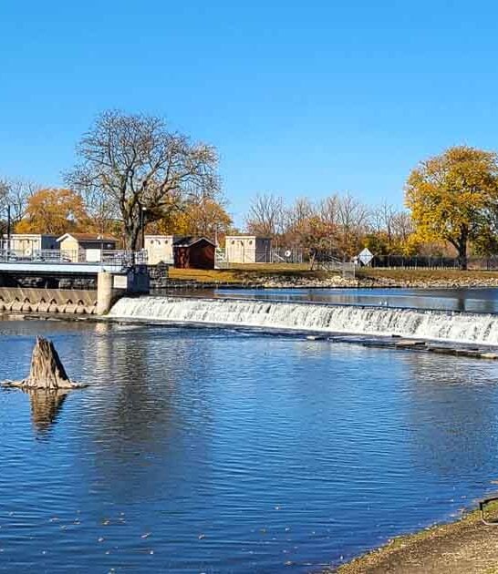 incredible illinois wildlife park ftr