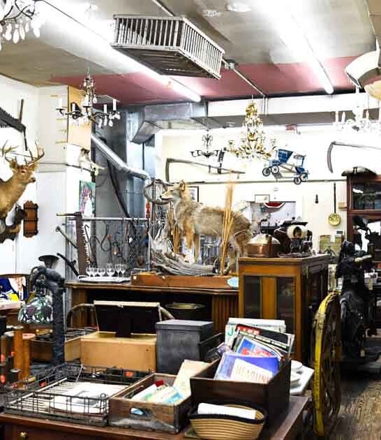 indiana enormous shop secondhand ftr