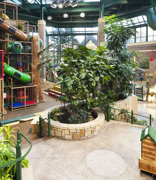 indoor playground minnesota blast ftr
