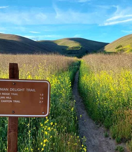 inexpensive road trip california ftr