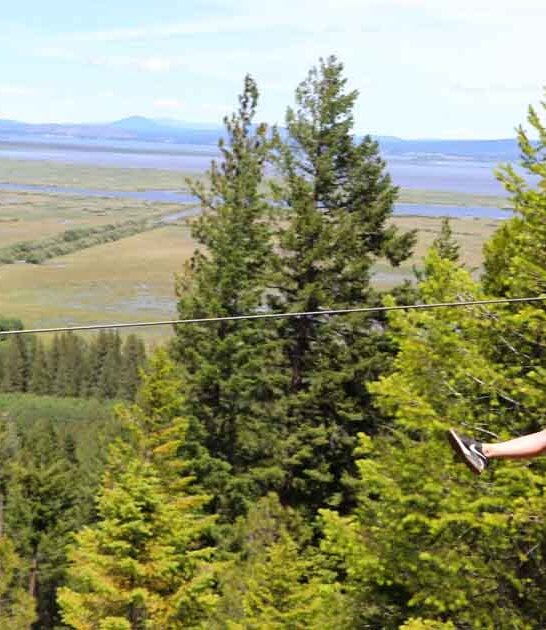 insanely fun oregon zipline ftr