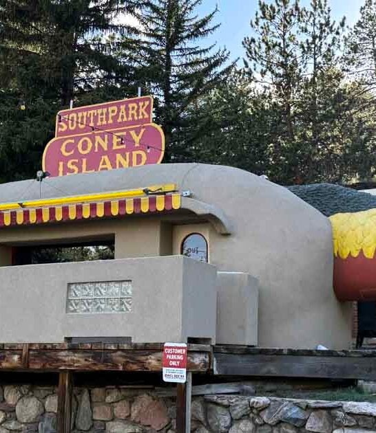 island dog stand colorado ftr