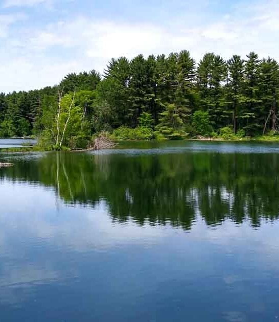 isolated state park wisconsin ftr