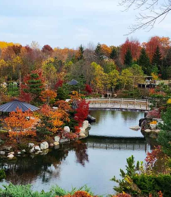 jaw dropping michigan garden ftr